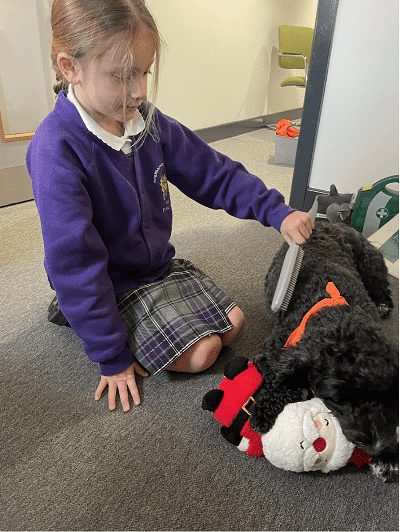 Fergus – Our school dog – Silsden Primary